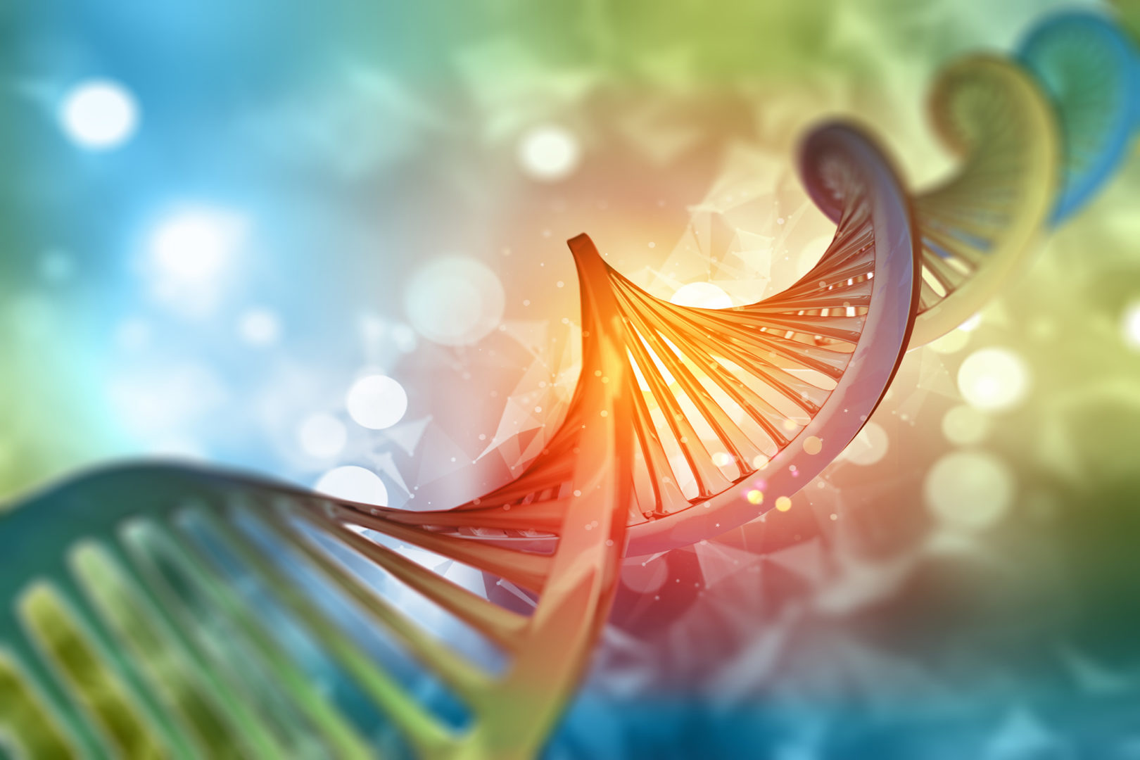DNA Forensic Services DNA SEQ Analysis ITSI Biosciences