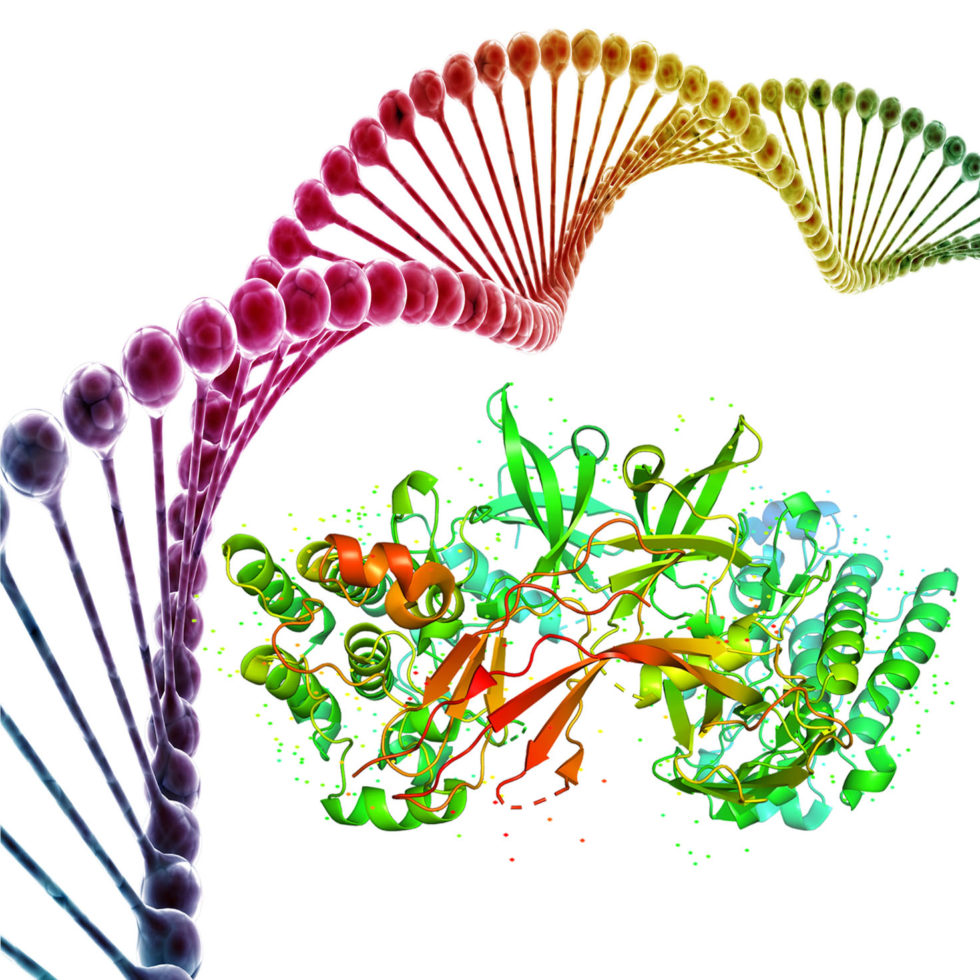Bioscience DNA Testing Services | ITSI-Biosciences